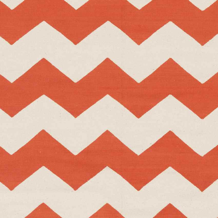 Zetten Modern Bright Orange Area Rug – Sage & Sill