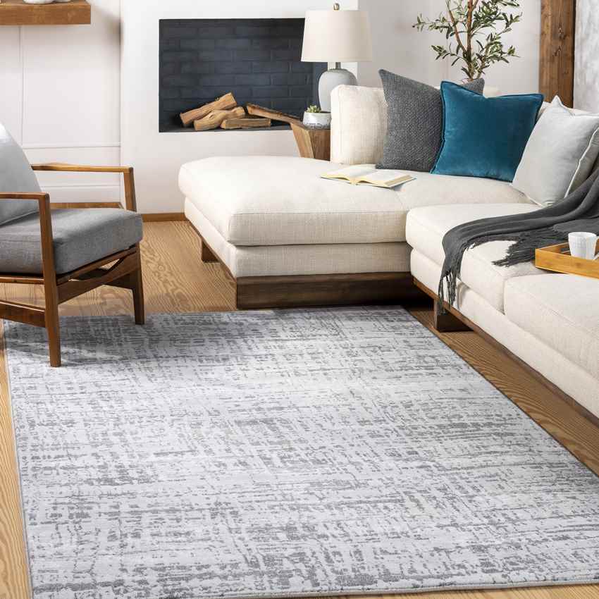 Demen Modern Light Gray Area Rug – Sage & Sill
