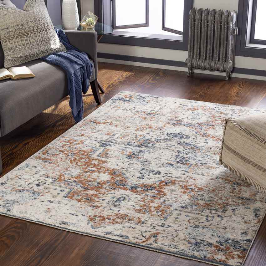 Delaware Traditional Burnt Orange Area Rug – Sage & Sill