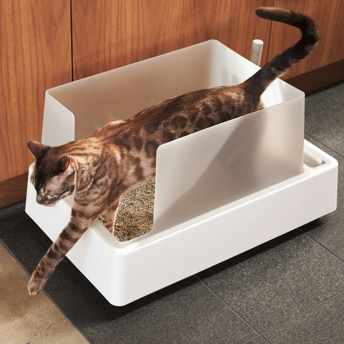 Cove Litter Box – Sage & Sill