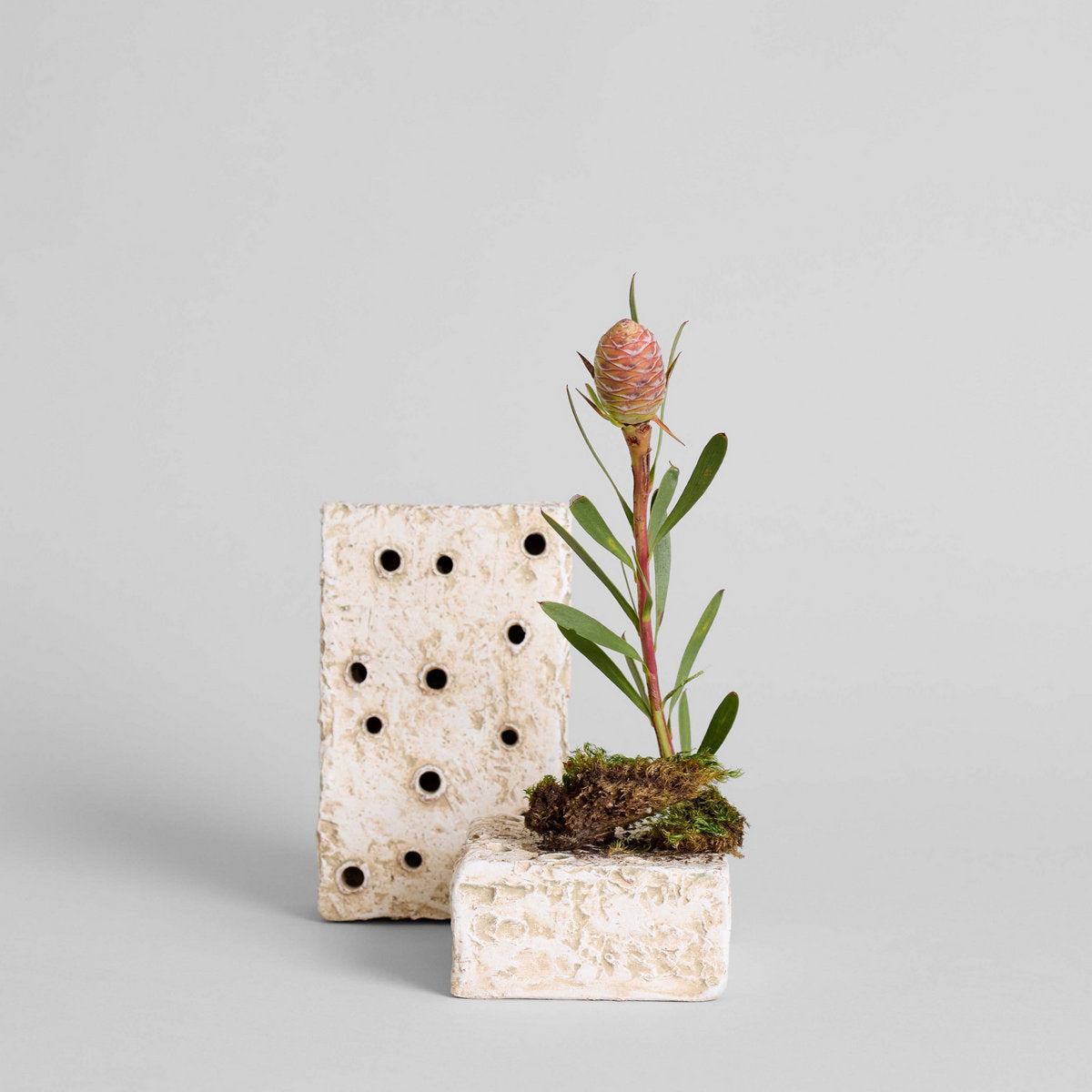 Ceramic Frog Block, White Patina – Sage & Sill